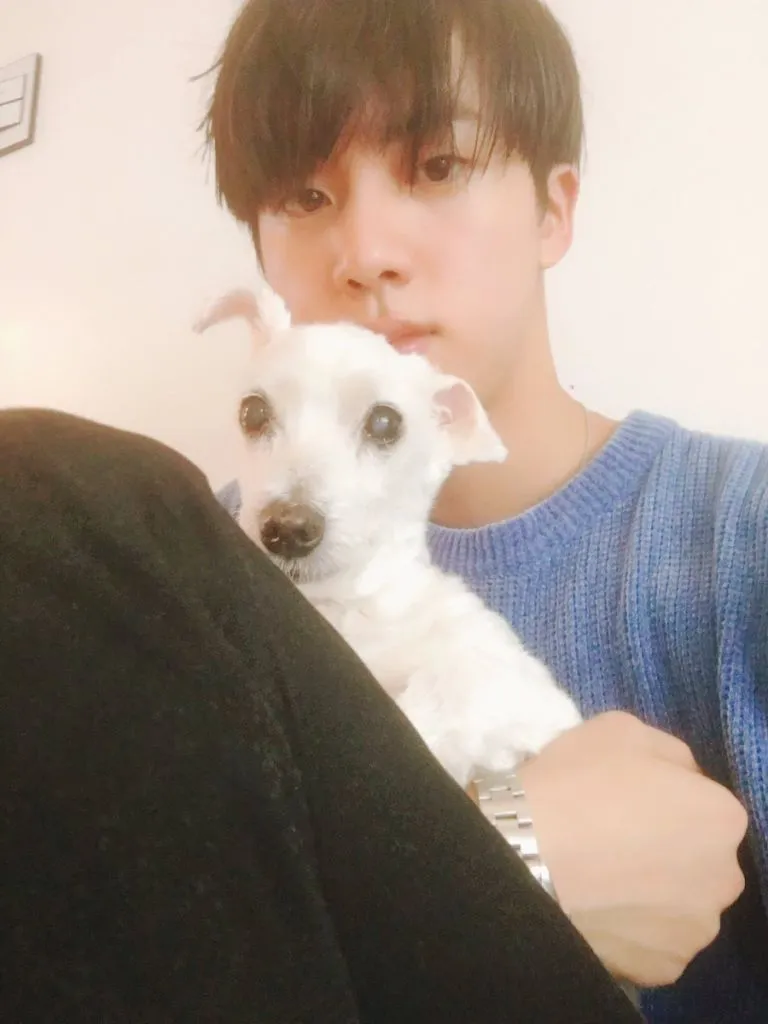 BTS Members And Their Adorable Furry Pets