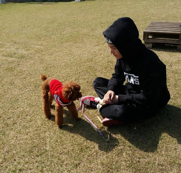 BTS Members And Their Adorable Furry Pets
