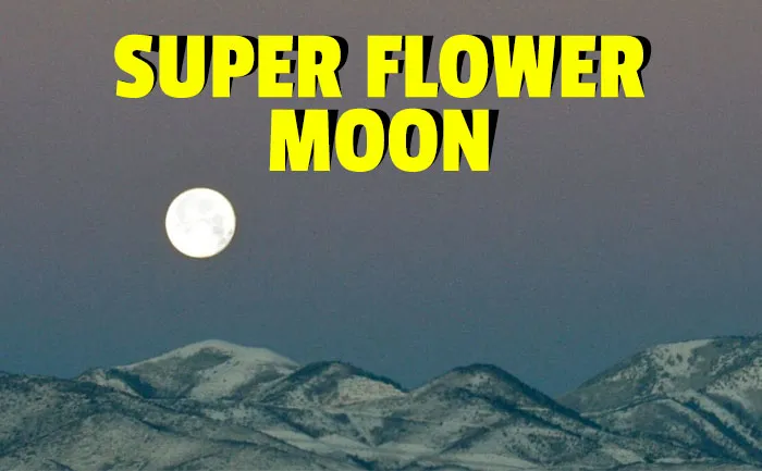 Super Flower Moon Date Time And How It Affects Your Zodiac Sign